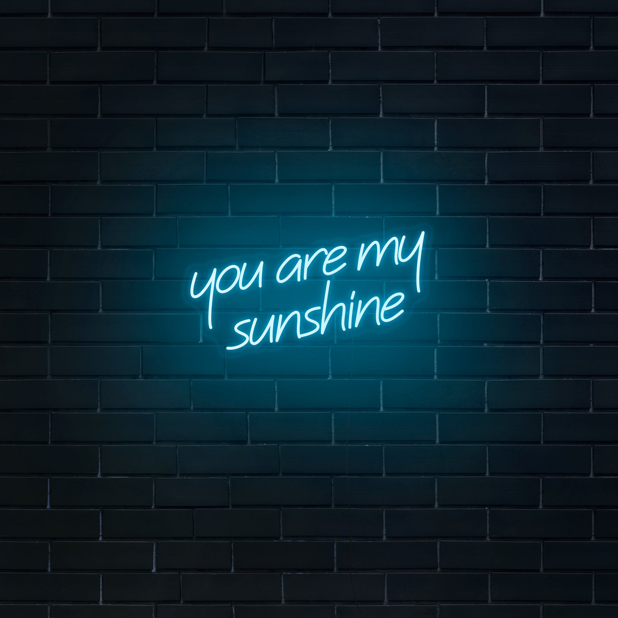 You Are My Sunshine Neon Sign Nuwave Neon