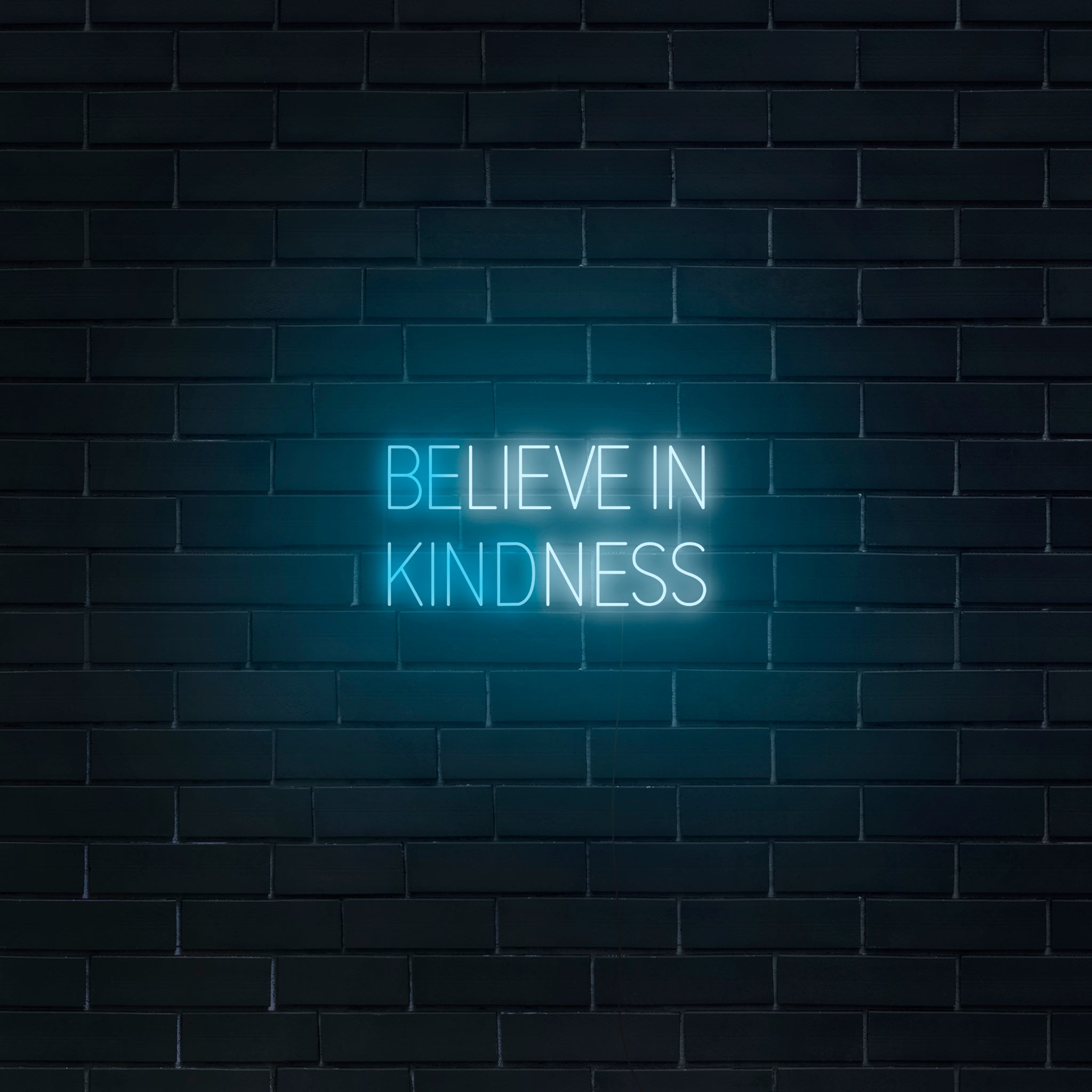 'Believe In Kindness' Neon Sign – Nuwave Neon